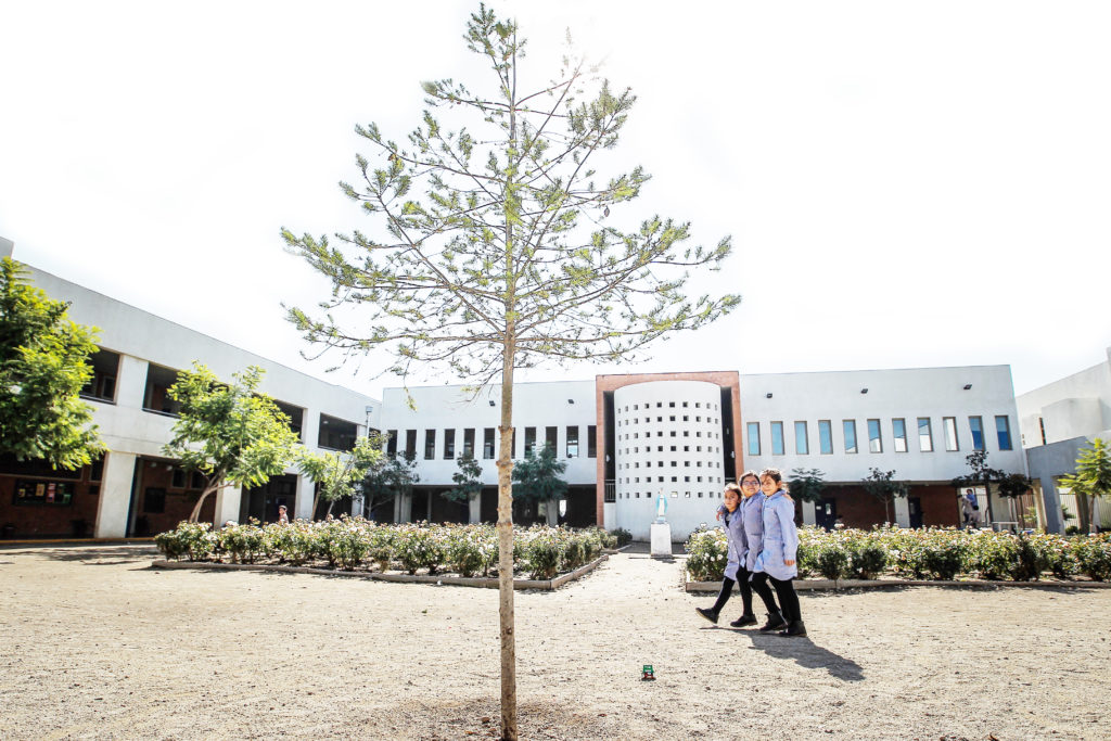 Remodelacion Colegio Eliodoro Matte Ossa | R&V